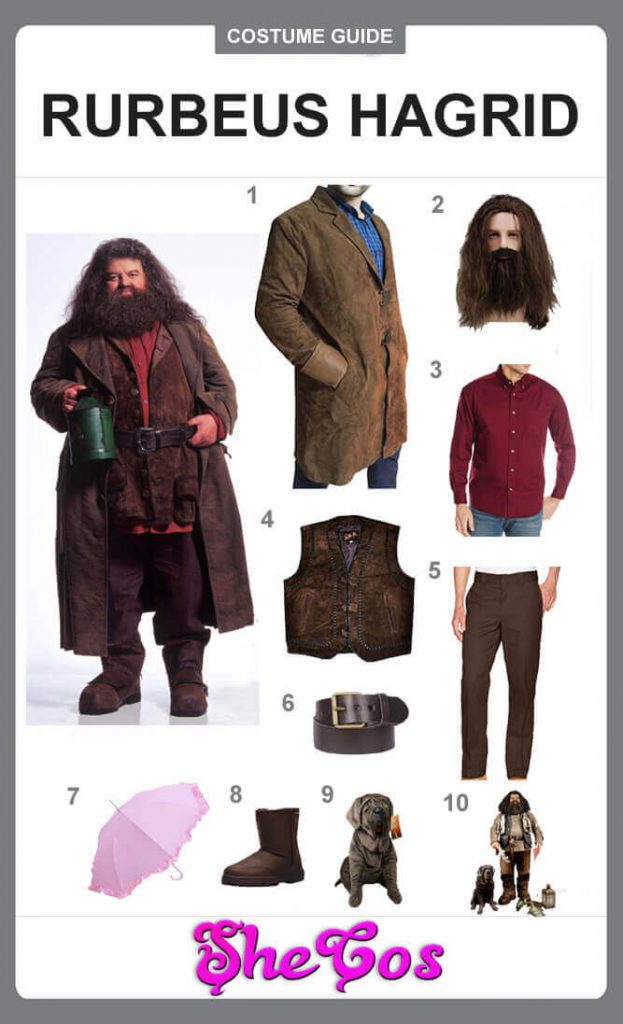The Complete Guide to Rubeus Hagrid Costume of Harry Potter | SheCos